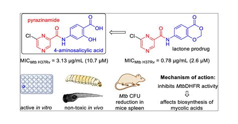 Hybridization Approach Toward Novel Antituberculars Design Synthesis