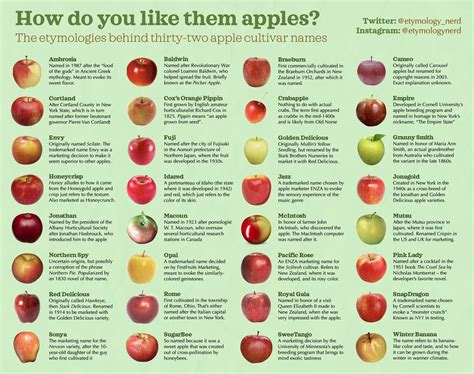 The Etymologies Of Apple Names [infographic] Apple Cultivar Names