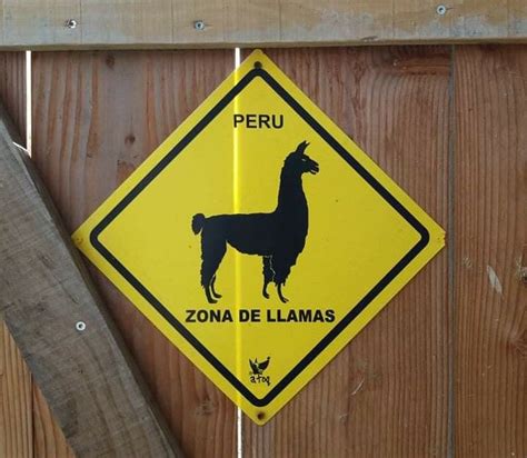 Mini Typh Minityph Profile Pinterest