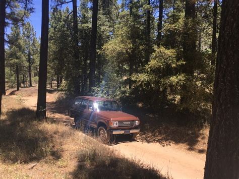 Series Porn Pictures Of The Kind That Get People Like Us Excited Page IH MUD Forum