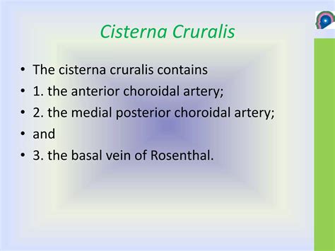 Basalcisterns Of Brain Ppt