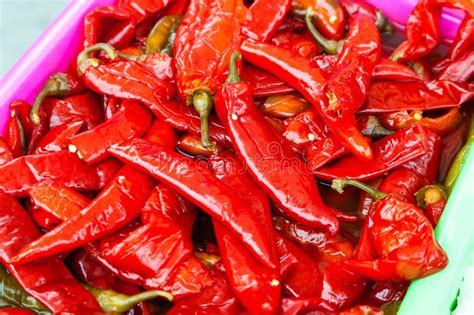 Chilli Peppers Stock Image Image Of Vegetarian Ingredient 305876781