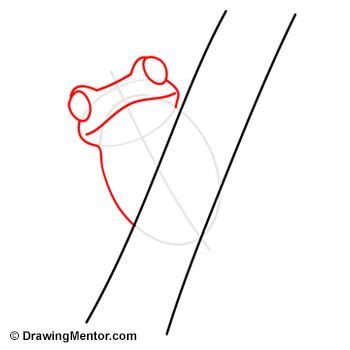 How To Draw A Tree Frog Frog Drawing Tree Frog Art Frog Sketch
