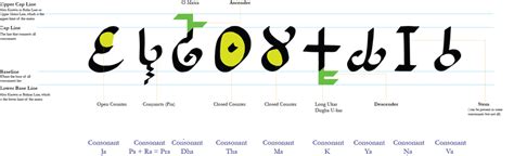 Shows Anatomy Of Brahmi Alphabet On A Typographic Skeleton A Close