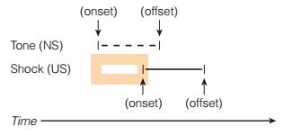 Kinds Of Cc A Flashcards Quizlet