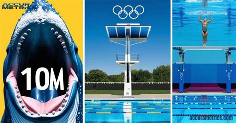 21 Things That Are 10 Meters Long Big Accura Metrics