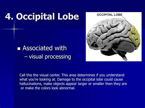 Ppt Nervous System Powerpoint Presentation Free Download Id6384200
