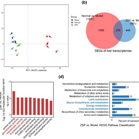 Overview Of The Transcriptomic Results Of Mice Liver A Pca Analysis Of