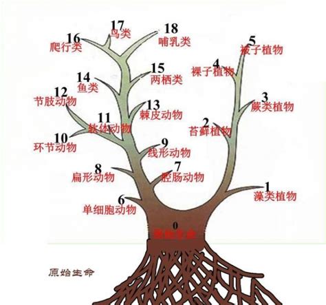 如果没有生殖隔离，世界将会怎样？ 看看头条中华网