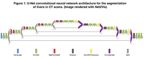 Deep Learning Based Automatic Liver Volume Estimation And Segmentation