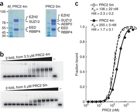 PRC2 Binds The 5 Domain Of HOTAIR RNA With Submicromolar Affinity In