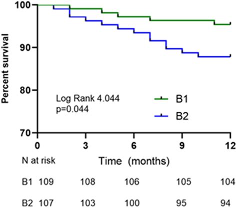 Survival Curves For Patients Stratified By The Apob Apoa1 Ratio B1 Download Scientific