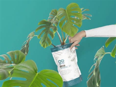 Arduinos Rp2040 Based Plant Watering Kit Aims To Put Your Favorite Pot