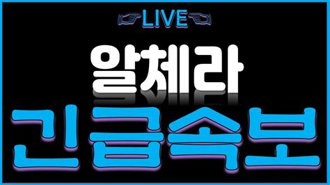 알체라 긴급속보 Youtube