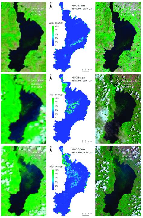 Comparison Between Algae Pixel Growing Algorithm Apa Results And Download Scientific Diagram
