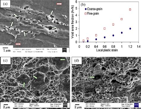 A Sem Micrograph Showing The Preferential Nucleation Of Voids From Download Scientific