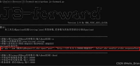 【渗透测试】利用hook技术破解前端js加解密 Js Forwardjsforward渗透测试 Csdn博客