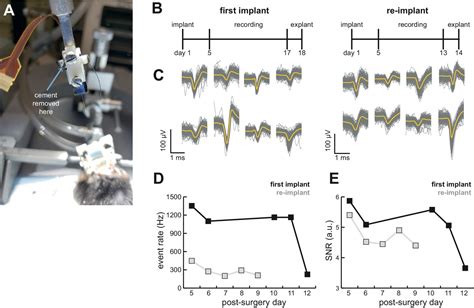 Figures And Data In Chronically Implanted Neuropixels Probes Enable