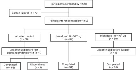 Participant Disposition Flow Chart Showing Pattern Of Participant