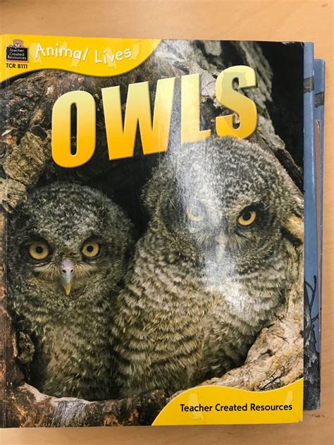 Owl Book Owl Books Owl Theme Teacher Created Resources