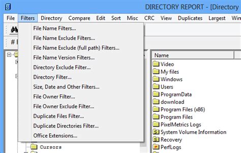 Directory Report Screenshot And Download At