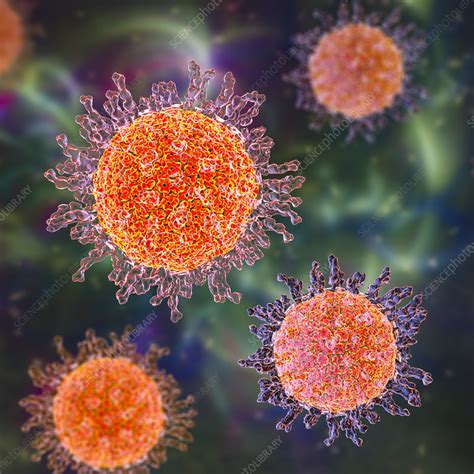 Herpes Simplex Virus Illustration Stock Image F0334549 Science