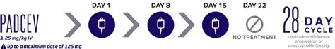 Padcev® Enfortumab Vedotin Ejfv Dosing And Administration