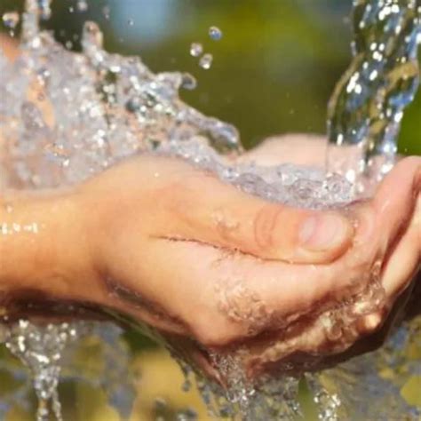 Hoy 31 De Marzo Se Celebra El Día Nacional Del Agua Filo News