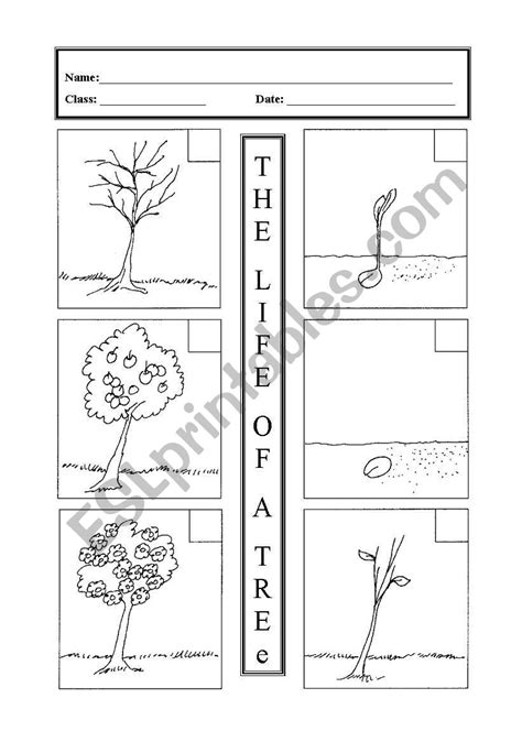 Printable Tree Of Life Narrative Therapy Worksheet