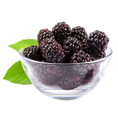 AI Generated Bowl With Fresh Ripe Blackberries 41643154 PNG