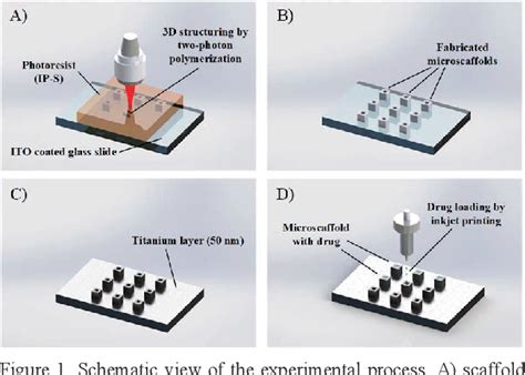 Figure 1 From 3d Printed Micro Scaffolds Loaded By Inkjet Printing With μg Precise Amount Of