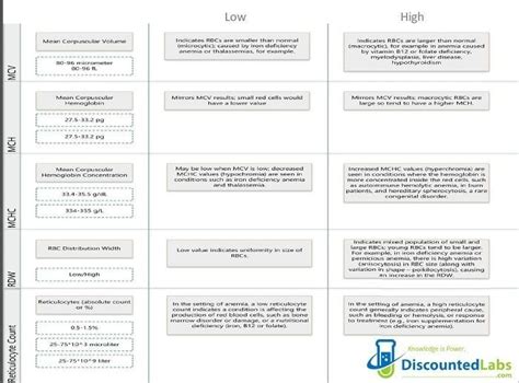Mastering The MCV Blood Test Importance And Result