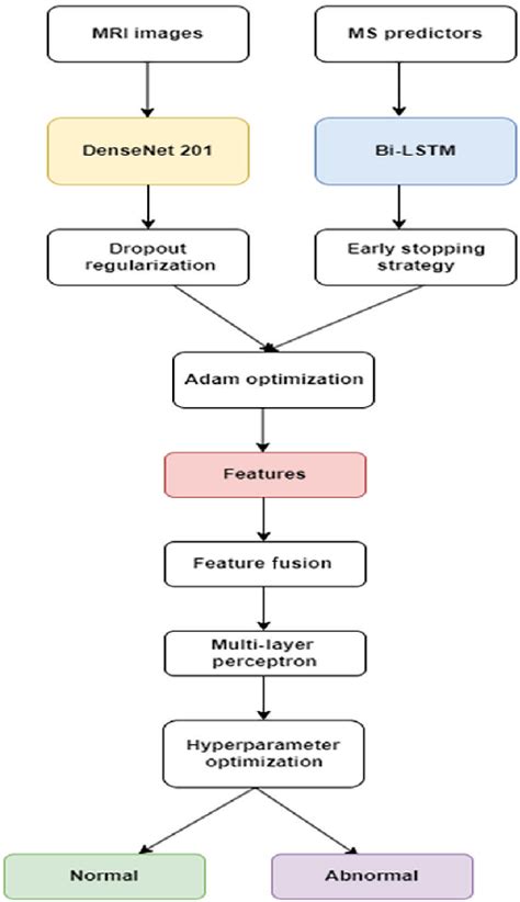 Figure 1 From A Multi Modality Based Multiple Sclerosis Detection Model Semantic Scholar