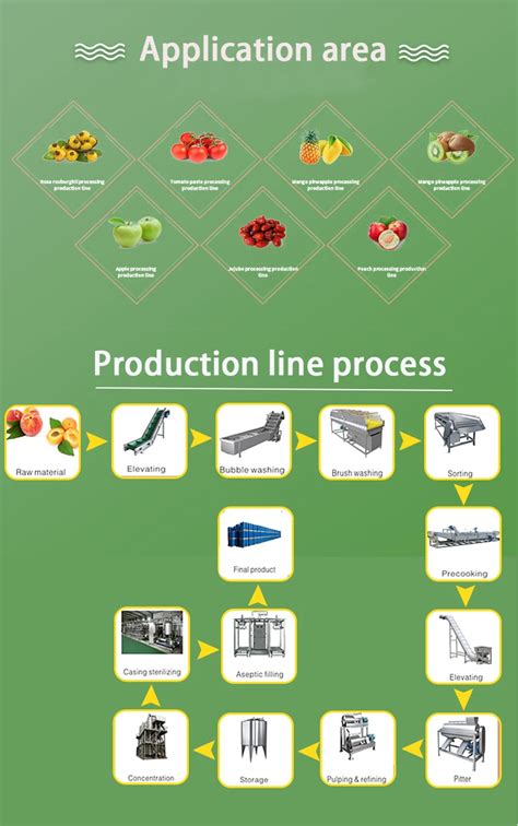 Palm Dates Processing Line Jujube Processing Machine Date Syrup Processing Plant Factory