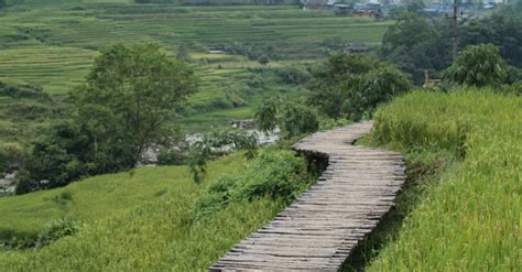 Lanscape 경작 경치 경치가 좋은 계단식 논 고요한 골짜기 구름 낀 하늘 낮 녹색 녹지 논 농경지