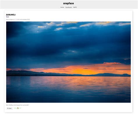 Github Subhi Dajava Debuter Angular Spa Snapface