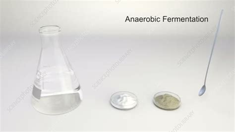 Fermentation Experiment Animation Stock Video Clip K005 4534