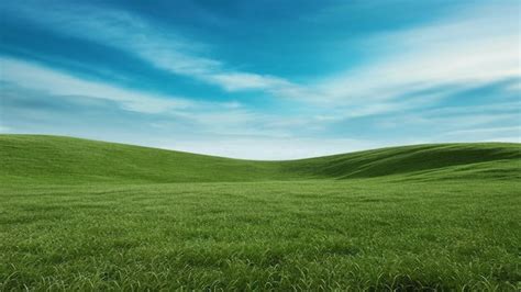 Green Landscape Ground Images Free Download On Freepik