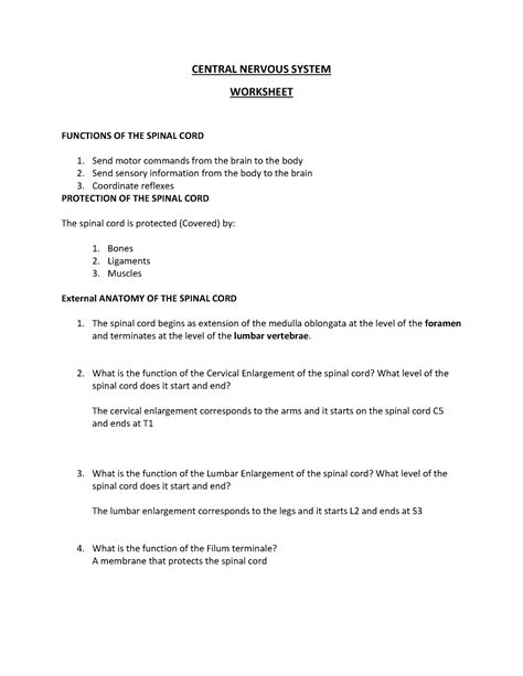 Central Nervous System Worksheet Central Nervous System Worksheet
