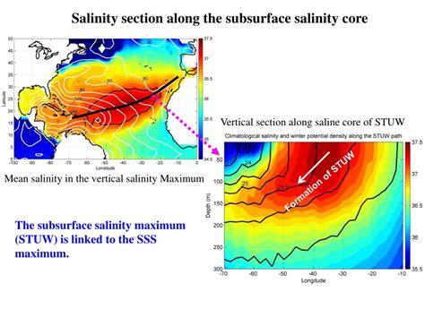 Ppt Large Scale Variability Of Salinity In The Subtropical North Atlantic Powerpoint
