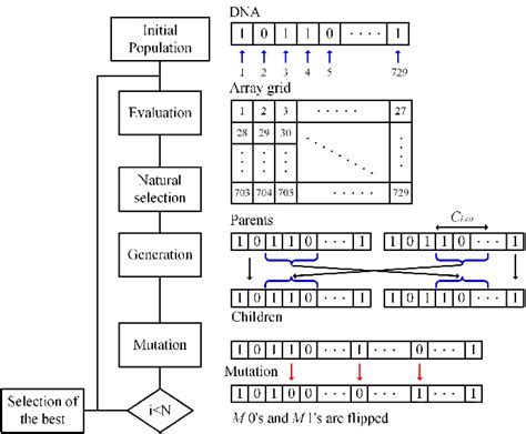 flowchart of the genetic algorithm used for sparse array design