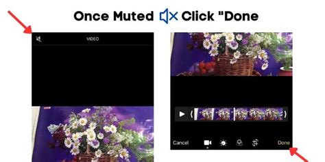 How To Remove Sound From IPhone Video
