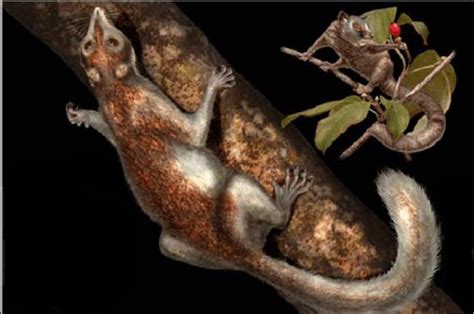 Torrejonia Maker Scratchpad Youtube Wiki Fandom