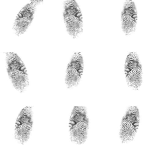 Data Augmentation Rotated Fingerprint On ±30 • Download Scientific
