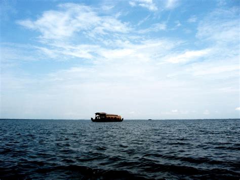 How To Build A Conservation Movement Current Conservation