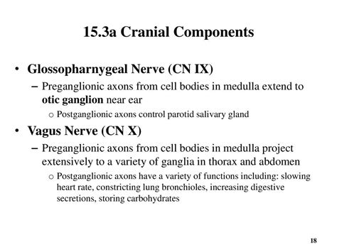 151a Functional Organization Ppt Download