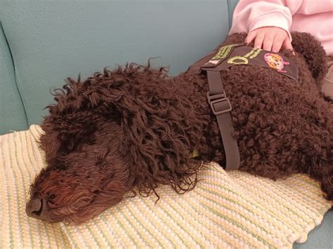 Toimintakeskus Mintake Toimintakeskus Mintake Hyvaks