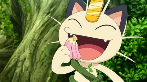 Filenanab Berry Animepng Bulbagarden Archives