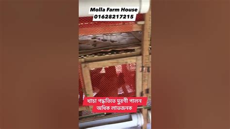 খাচা পদ্ধতিতে মুরগী পালনে অধিক লাভ Youtube