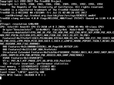System Hang On Boot Up The Freebsd Forums